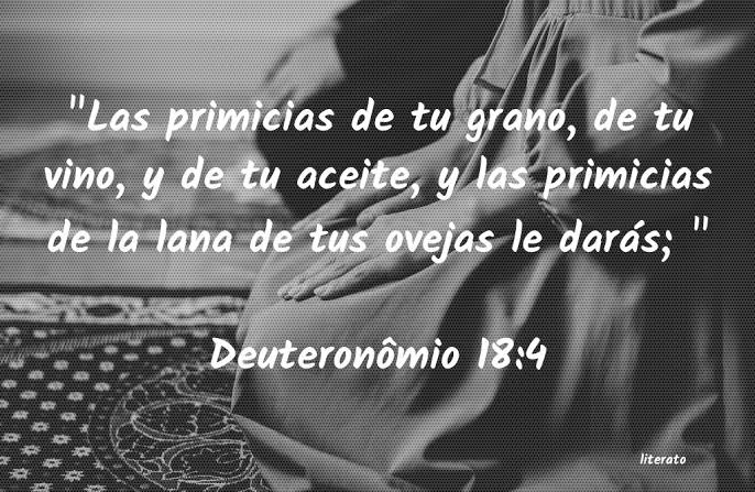 Dar lo primero a Dios. | Tu Tiempo Digital